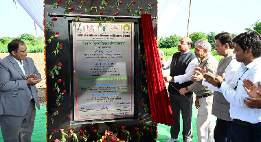 DG, ICAR launches ICAR-IGFRI reliance collaborative project on Bioenergy | ICAR